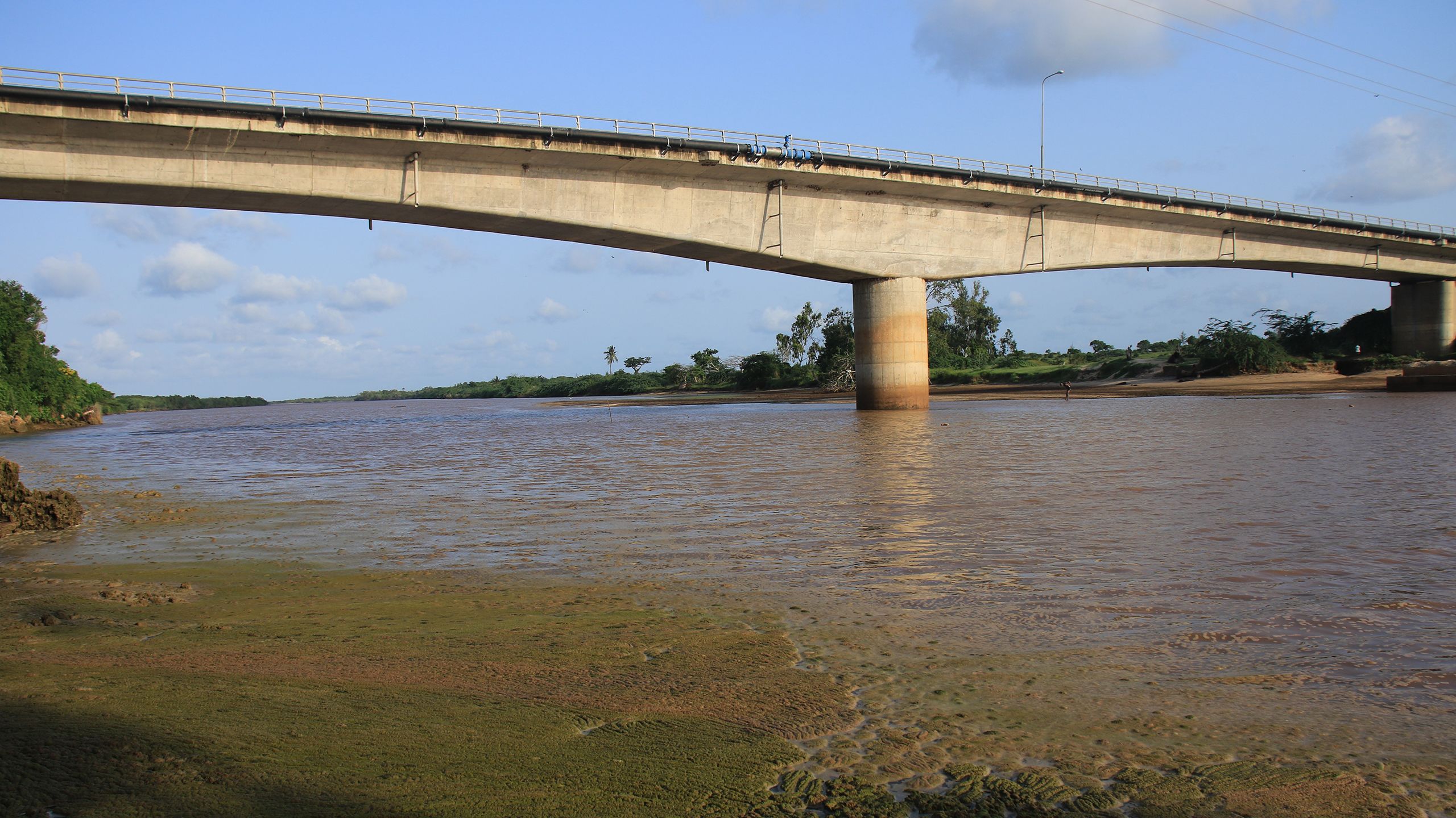 Toxic flow: Part one